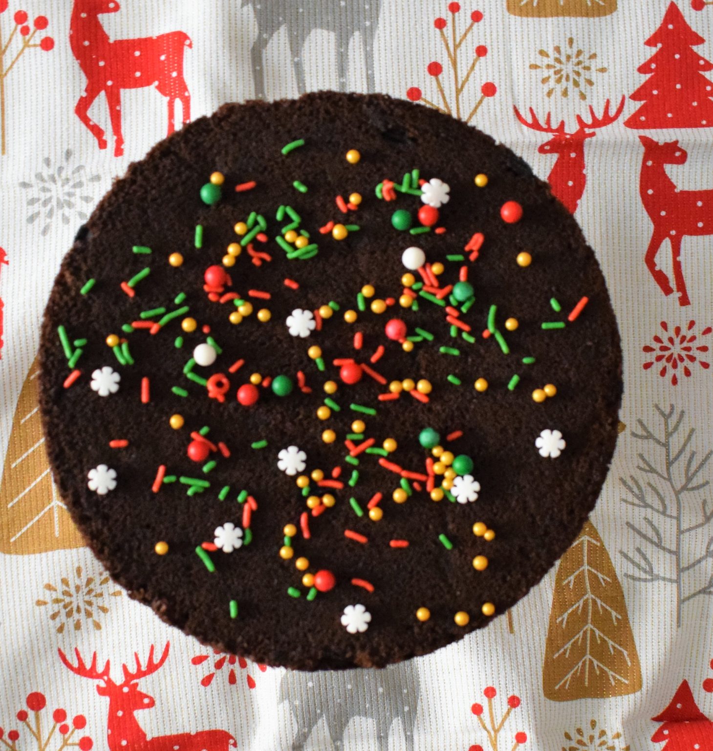 Chocolate Fruit Cake - Baking with Rona